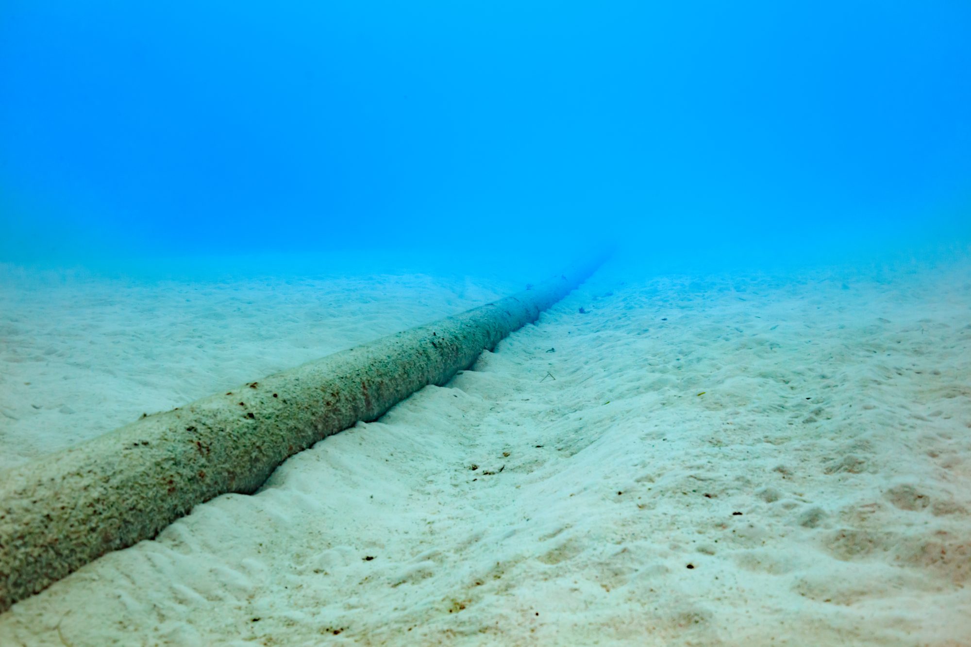 Protecting Undersea Cables: Innovative Solutions to Safeguard American ...